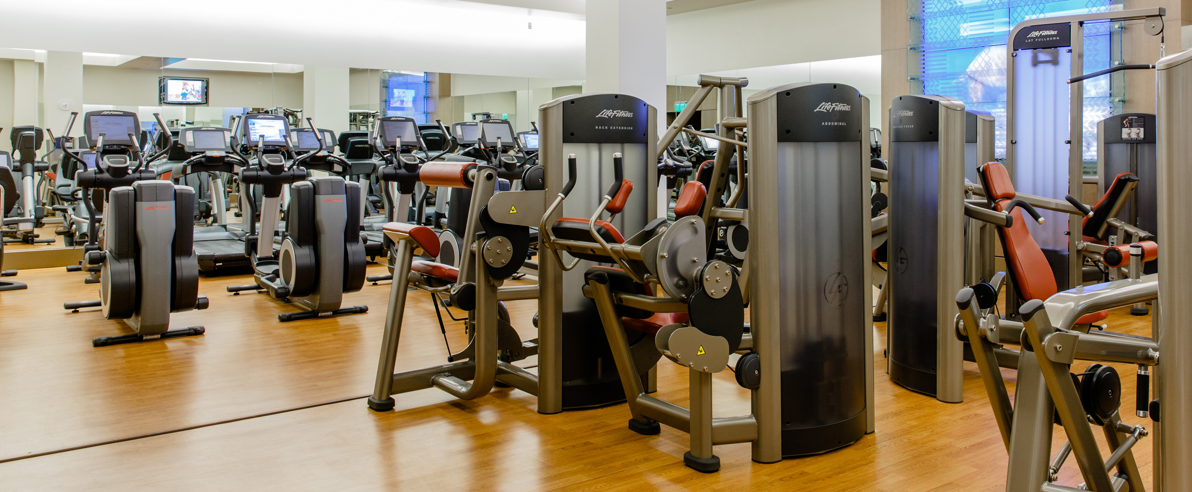Elite Gym Equipment International | Miami, FL