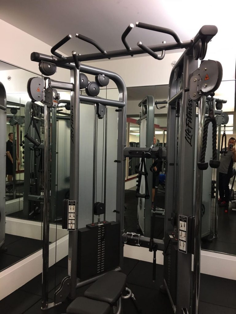 Life Fitness Signature Series Dual Adjustable Pulley - Elite Gym ...